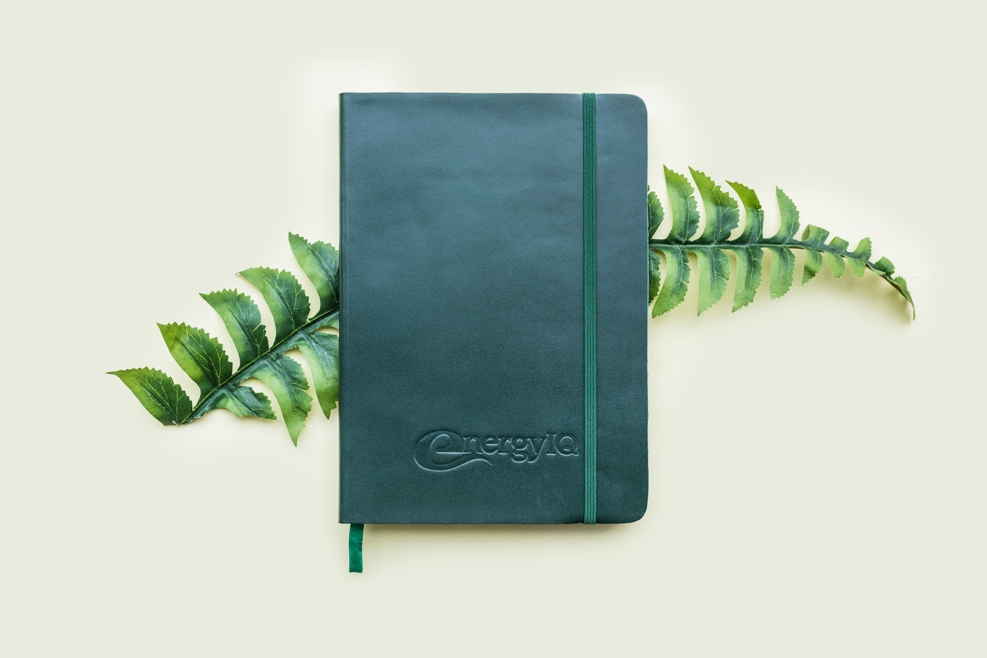 Energy IQ - Monsieur Notebook